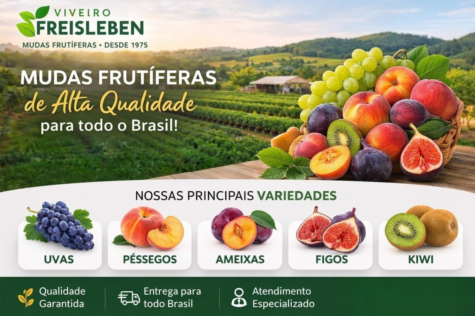 Viveiro Freisleben